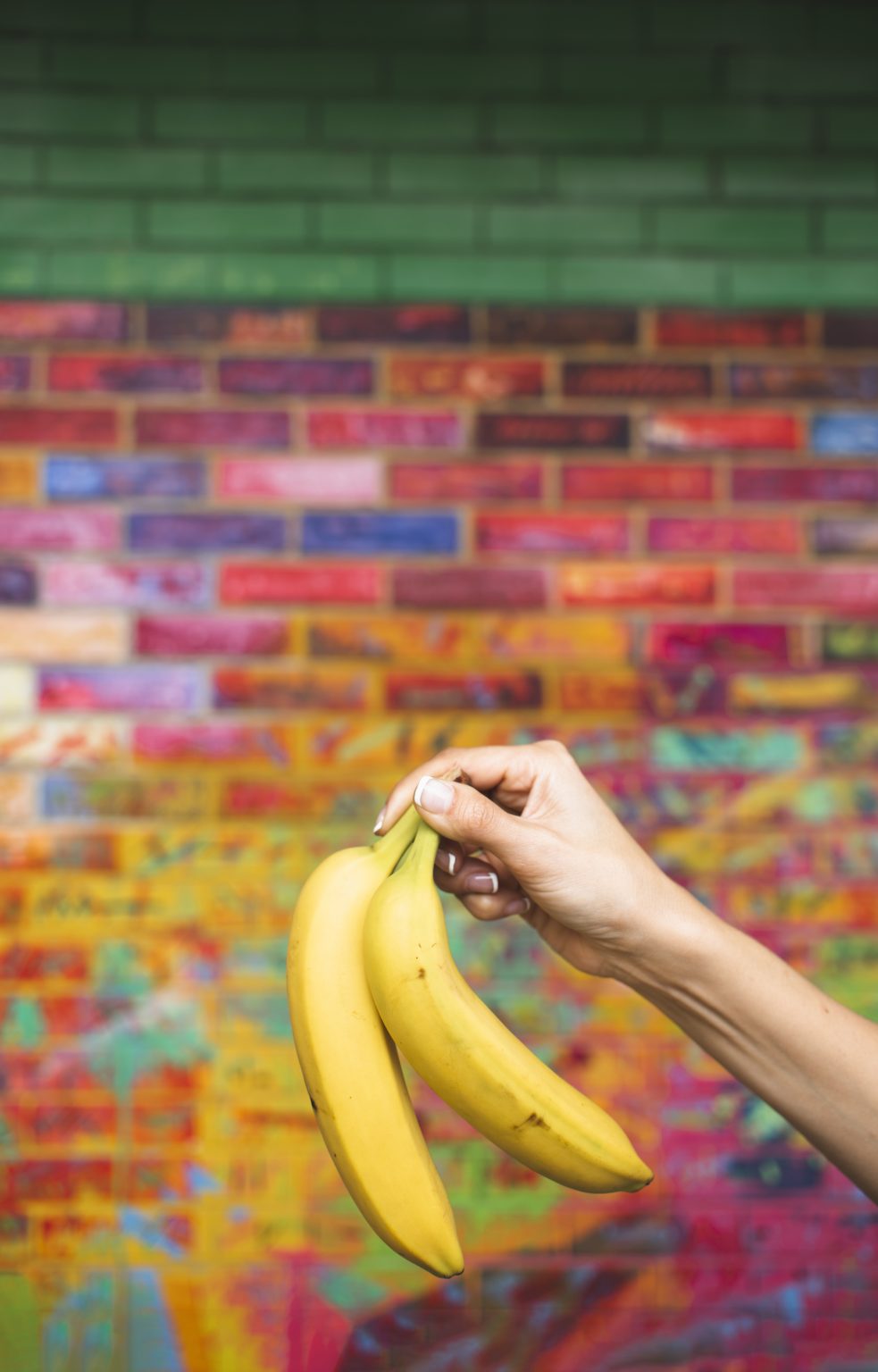 Bacalhau para o natal com Natas Super Cremoso para o Natal – Receita ...